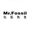 Mr.Fossil - Sketchfab