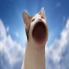 PowerShell - Sketchfab