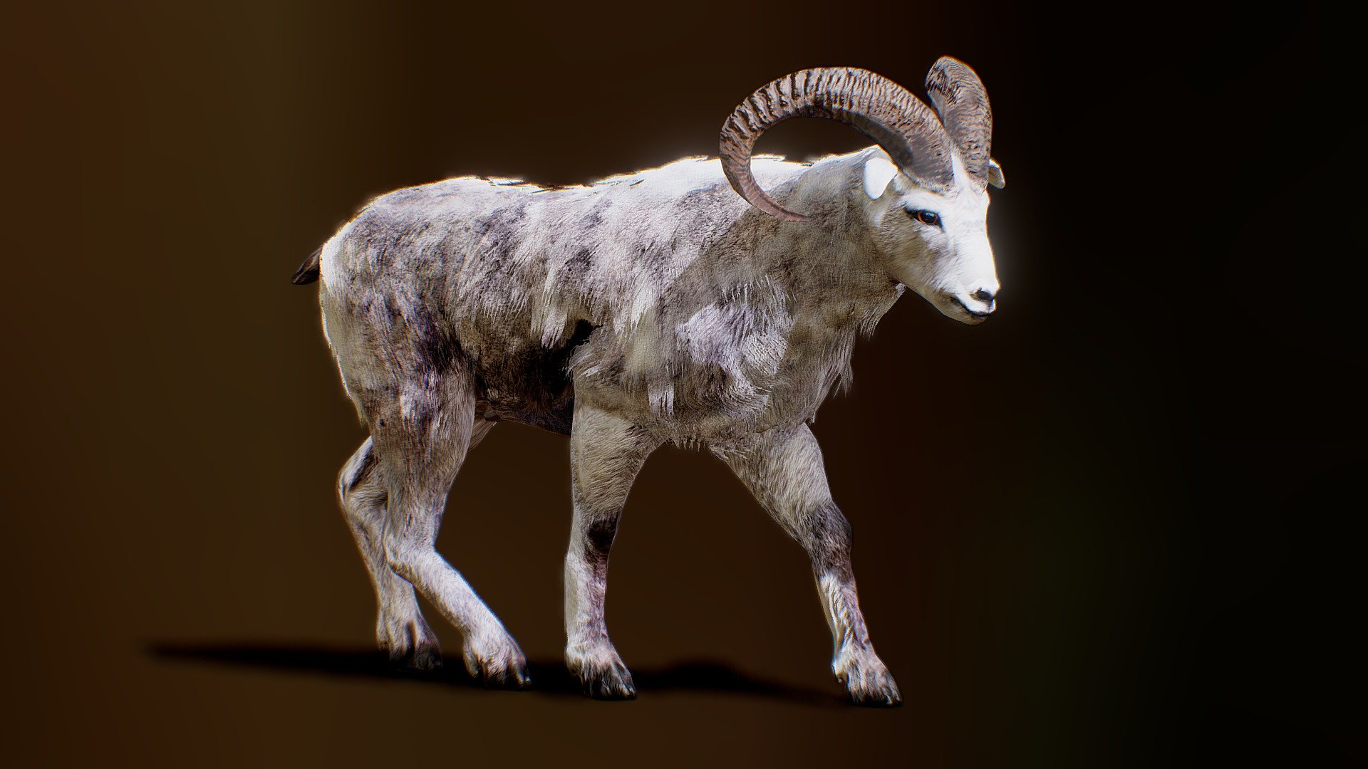 Ovis animated - Buy Royalty Free 3D model by Kasit Studio (@kasit ...