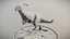 Paracephalosaurus - 3D model by Danny Escobar Castro (@NOTTIME ...