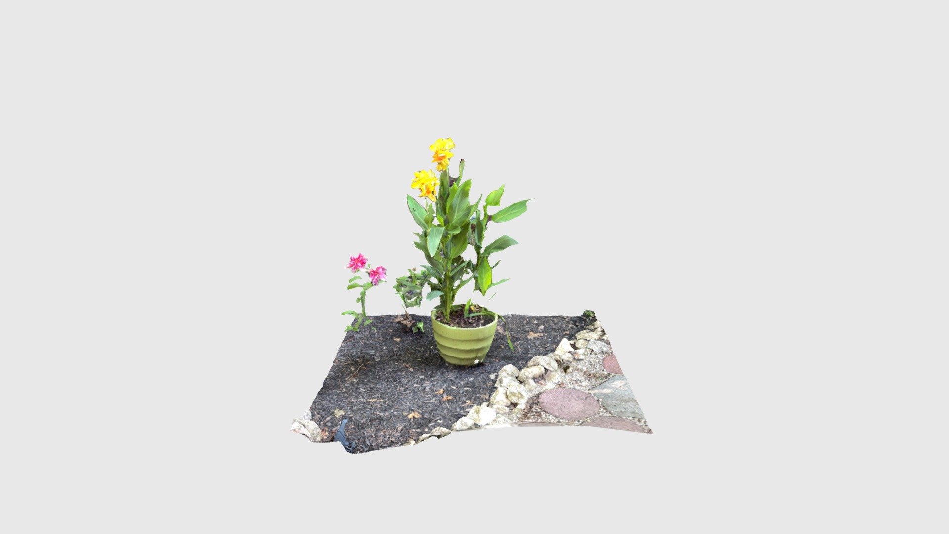 Flower - Download Free 3D model by tdtrumble [00184cc] - Sketchfab