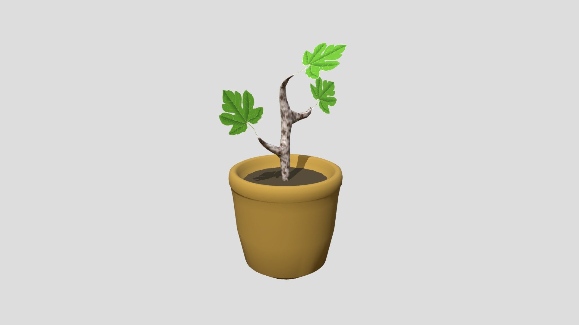 Plant - Download Free 3D model by akarma390 [00190b8] - Sketchfab