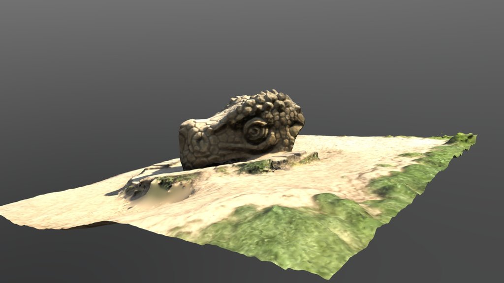 vintage paleo - A 3D model collection by pikaia (@pikaia2) - Sketchfab