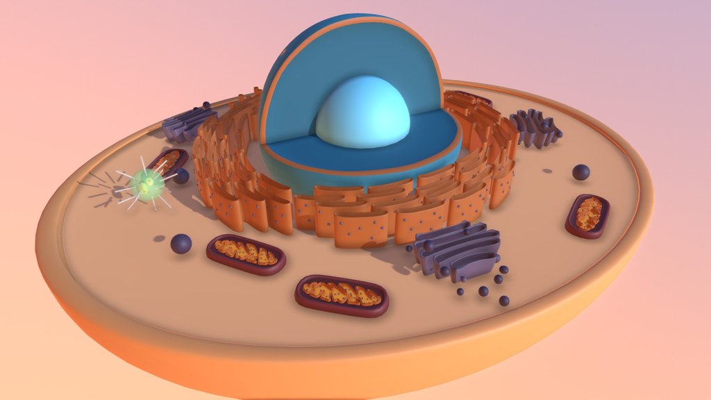 CÉLULA - A 3D model collection by juanmoragues - Sketchfab