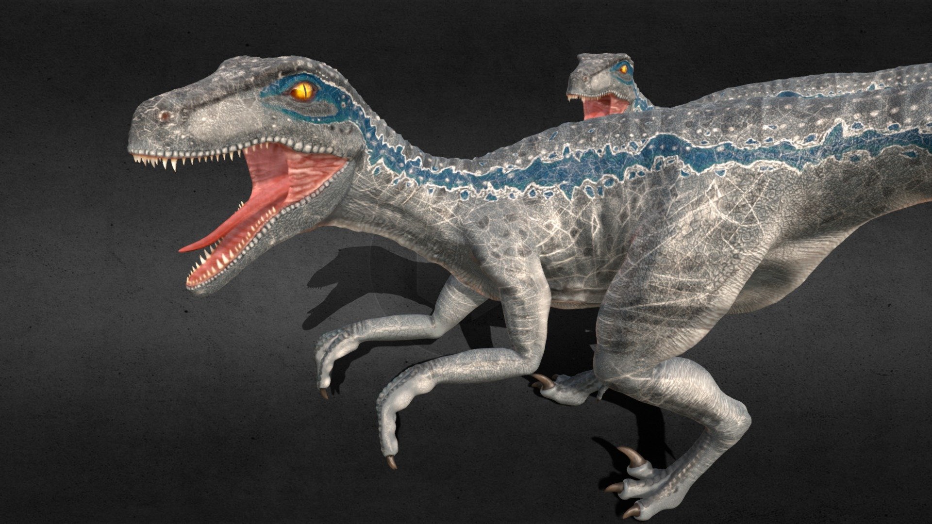 Velociraptor - 3D model by Floris Vanderkerken (@floris_vdk) [002bd3e ...
