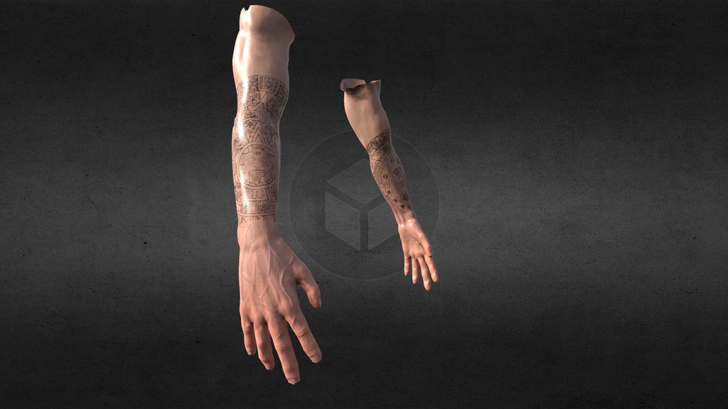 FPS Hands - A 3D model collection by lordswagfish - Sketchfab