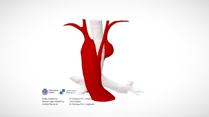 Anatomytool 3D models - Sketchfab