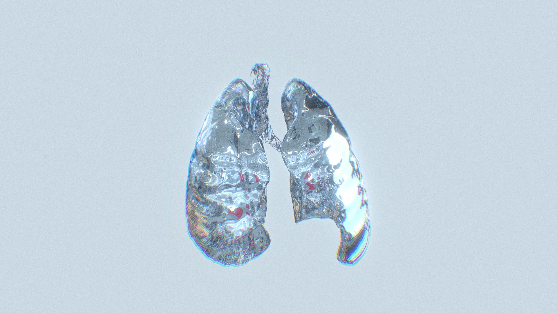 Segmentation_Lungs - Download Free 3D model by blanen [003d9f7] - Sketchfab