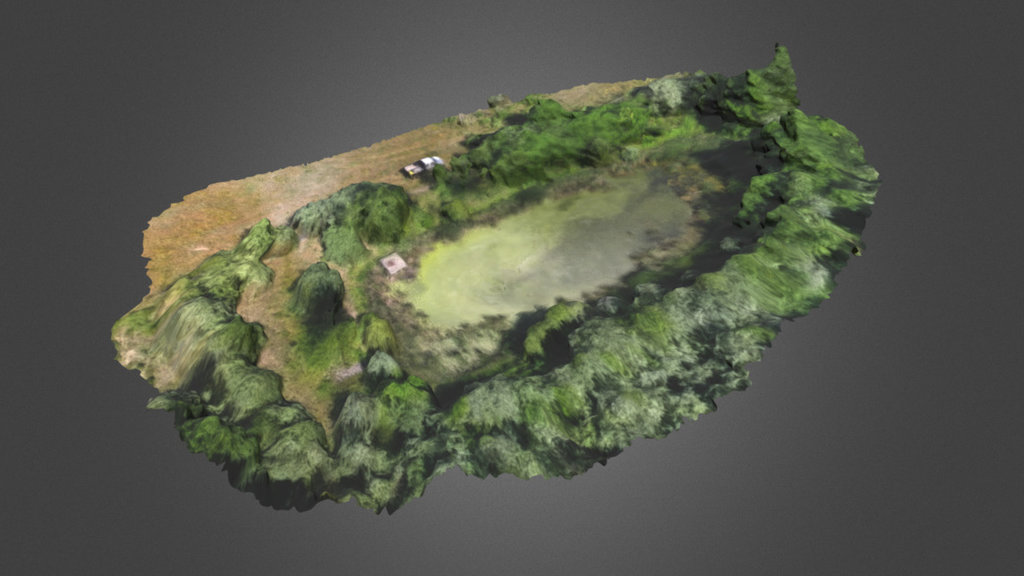Pond in summer - 3D model by URIOCE [0041579] - Sketchfab