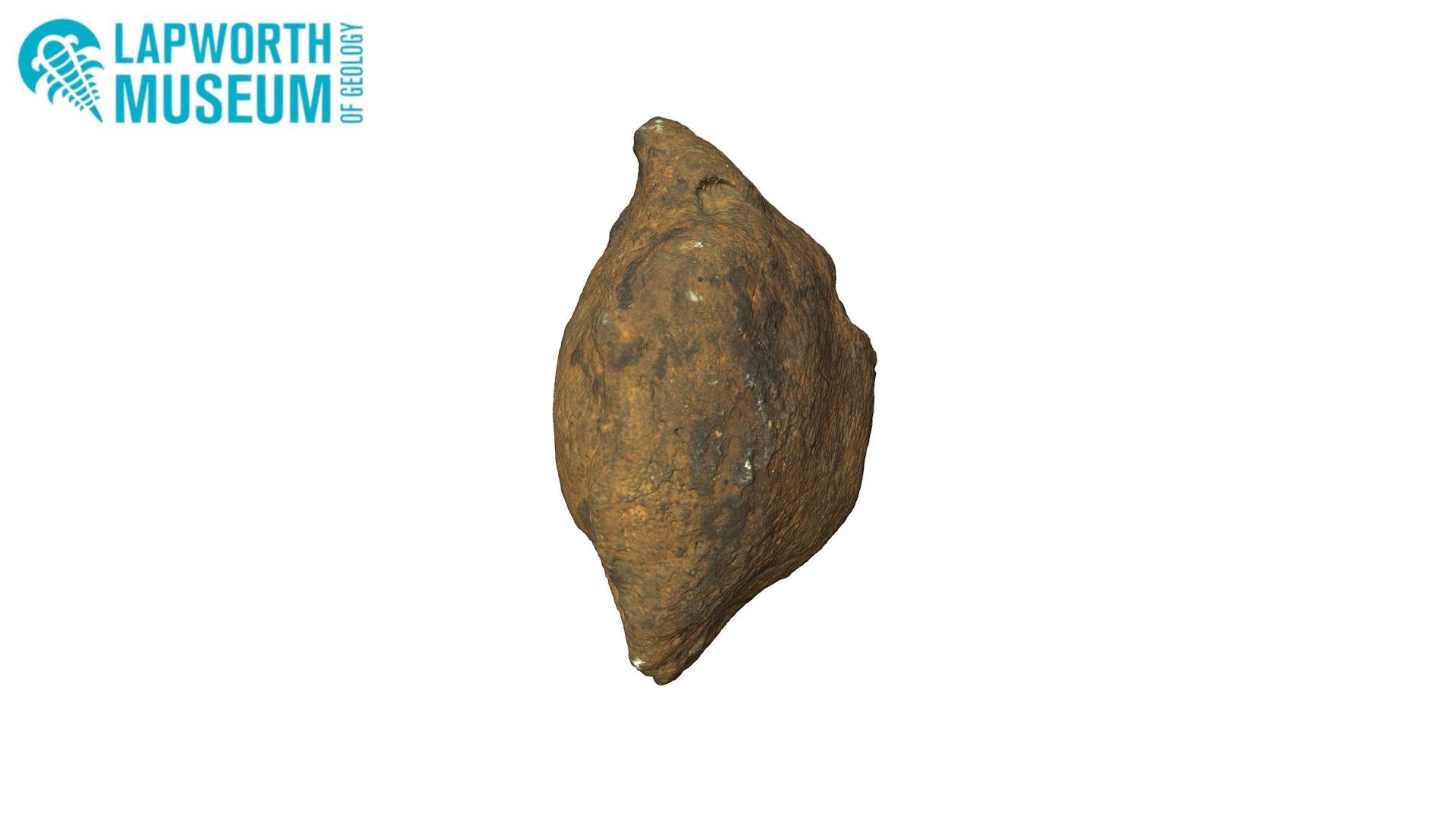 Volcanic Bomb - Teaching Collection - Download Free 3D model by ...
