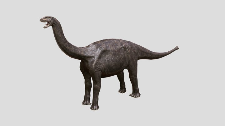 Shunosaurus 3D models - Sketchfab