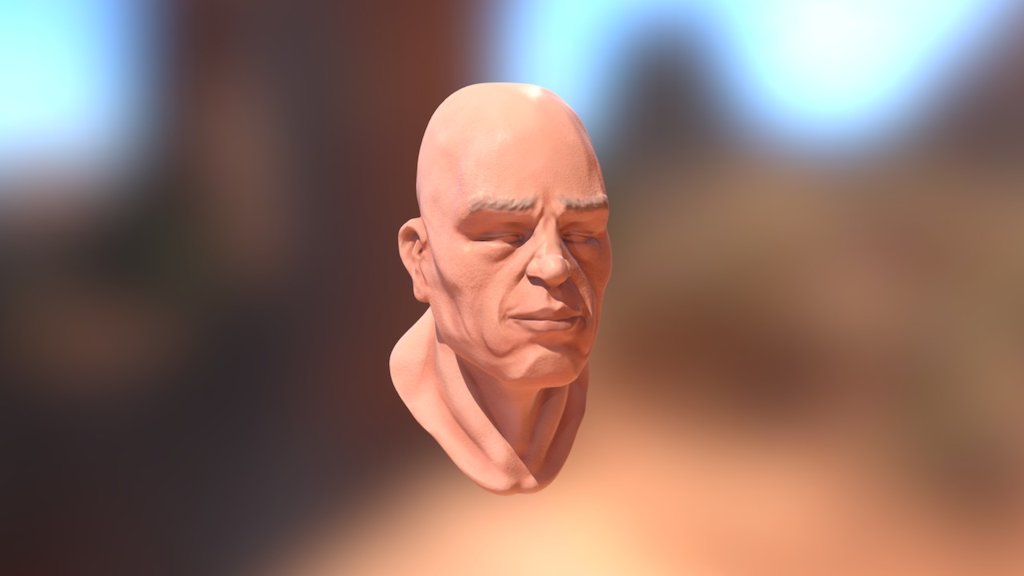 head - A 3D model collection by miguelozz - Sketchfab