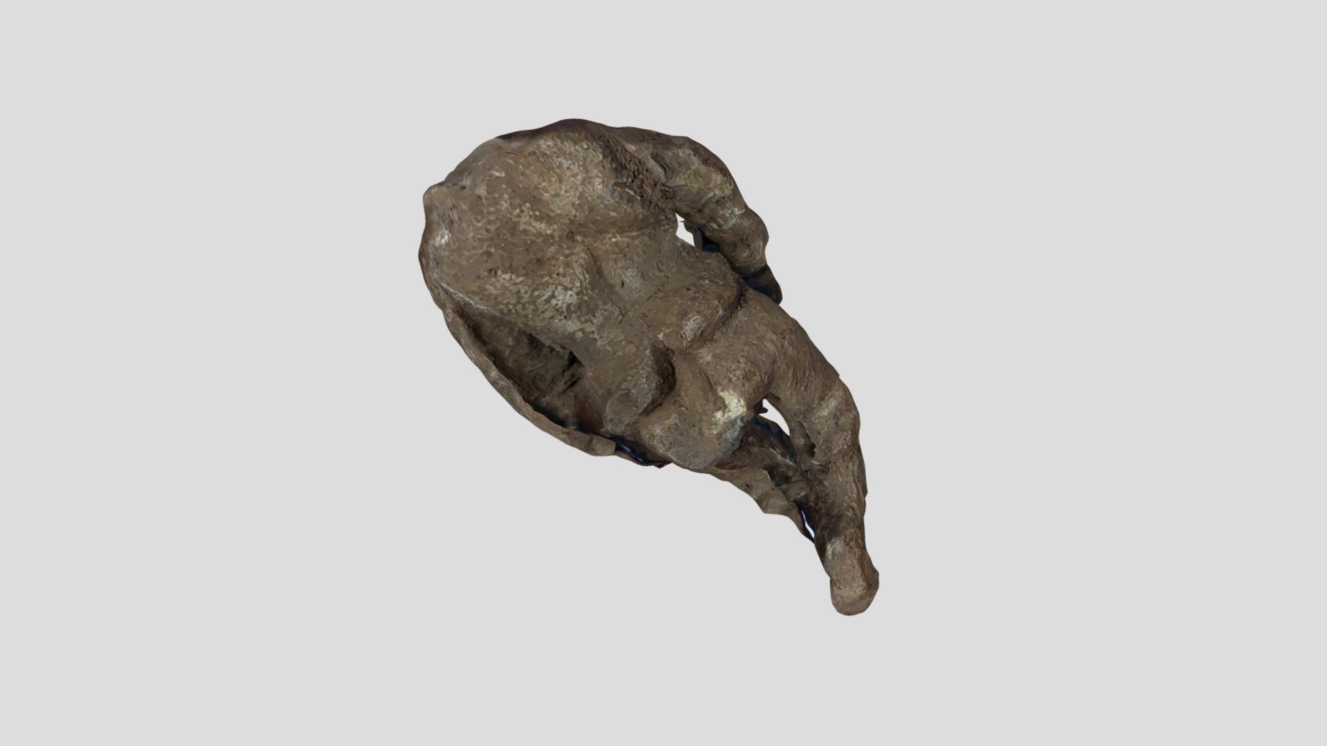 Wmid-300d60 - Late Post Medieval toy - Download Free 3D model by The ...