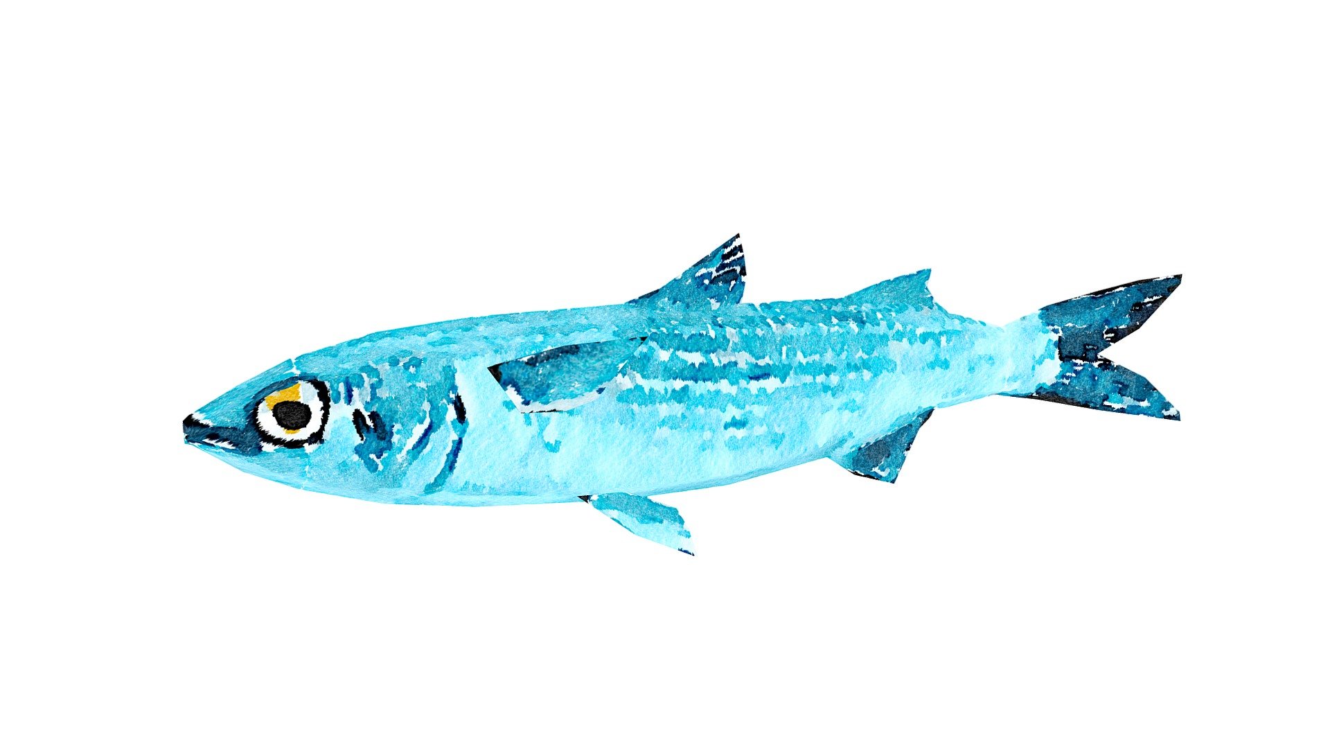 White Mullet Illustration - 3D model by josluat91 [00625eb] - Sketchfab