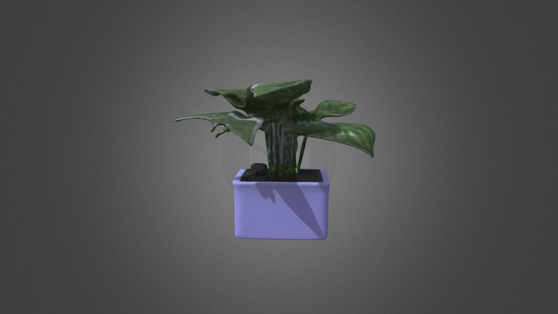 Small pod box plant - Download Free 3D model by omw100 [0063812 ...