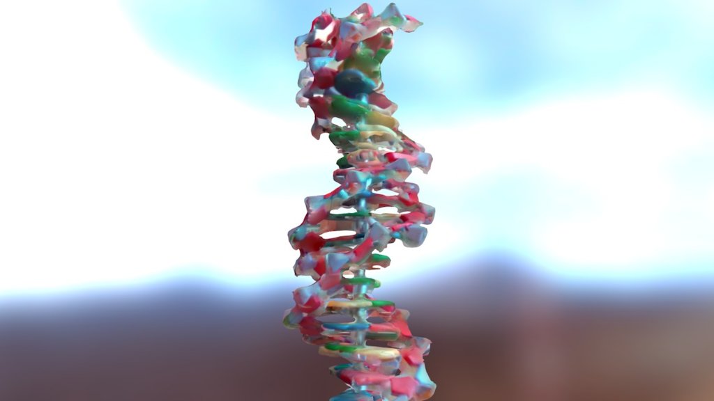 DNA model - 3D model by robstoll [0063890] - Sketchfab