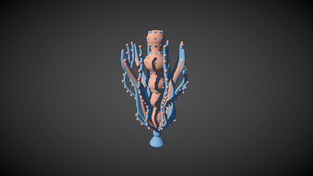 Seaweed - A 3D model collection by Angelica (@lunlun.angelica) - Sketchfab