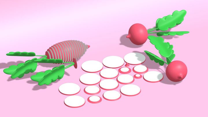 Radish 3D models - Sketchfab