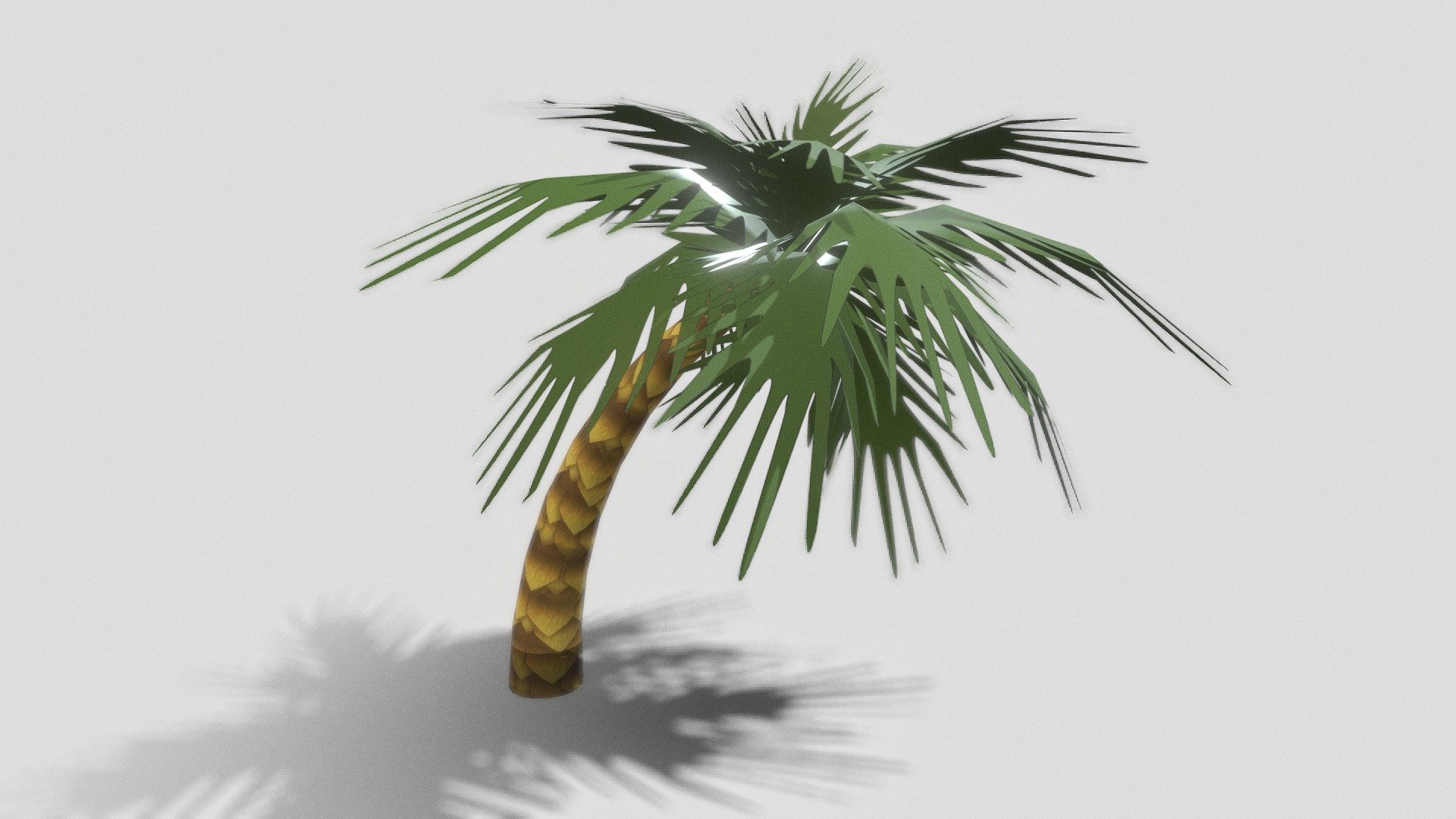 palm tree - Download Free 3D model by Phuc Pham (@phucpham1076 ...
