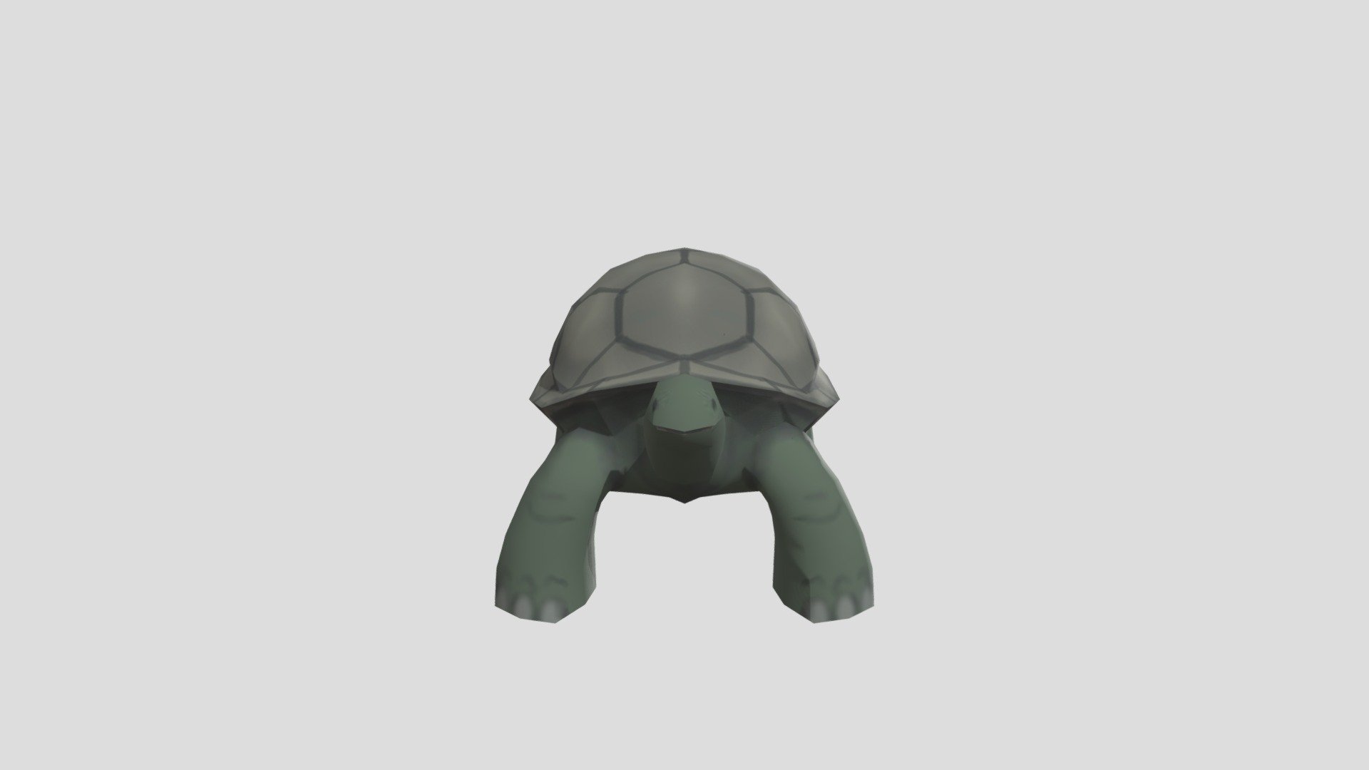 Turtle - Download Free 3D model by chernek [00771cb] - Sketchfab