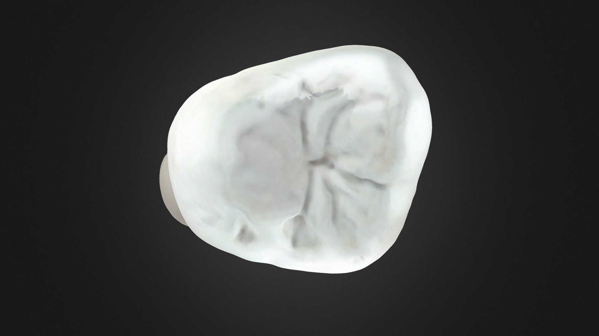 Dente 18 - Upper Right Third Molar (ID 18b) - Download Free 3D model by ...