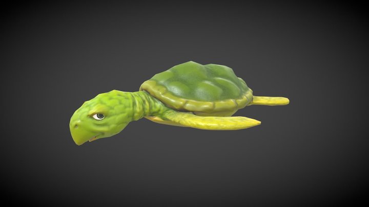 Sea-turtle 3D models - Sketchfab