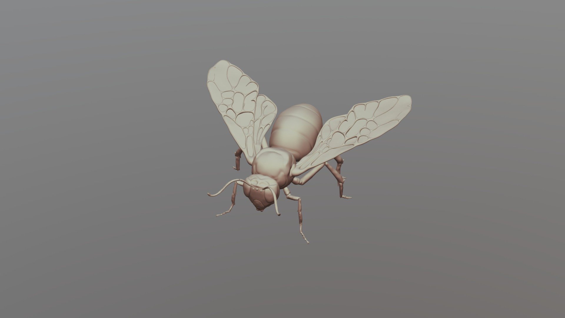 The Bee - 3D model by gjsaeed [0082545] - Sketchfab