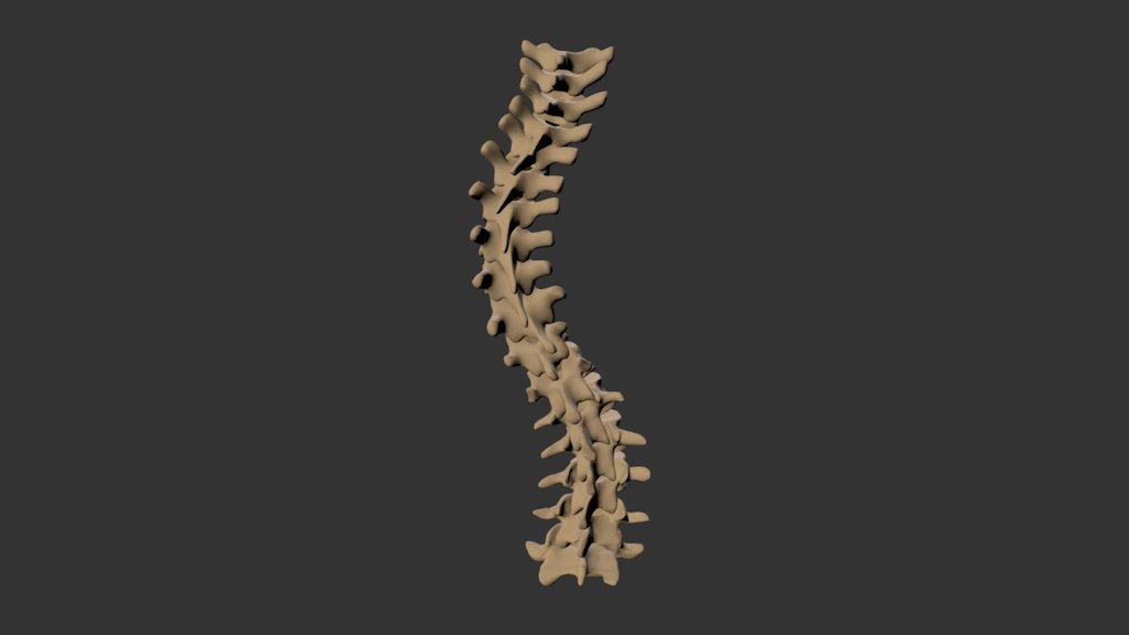EOS Gerinc - 3D model by gramanox [009053f] - Sketchfab