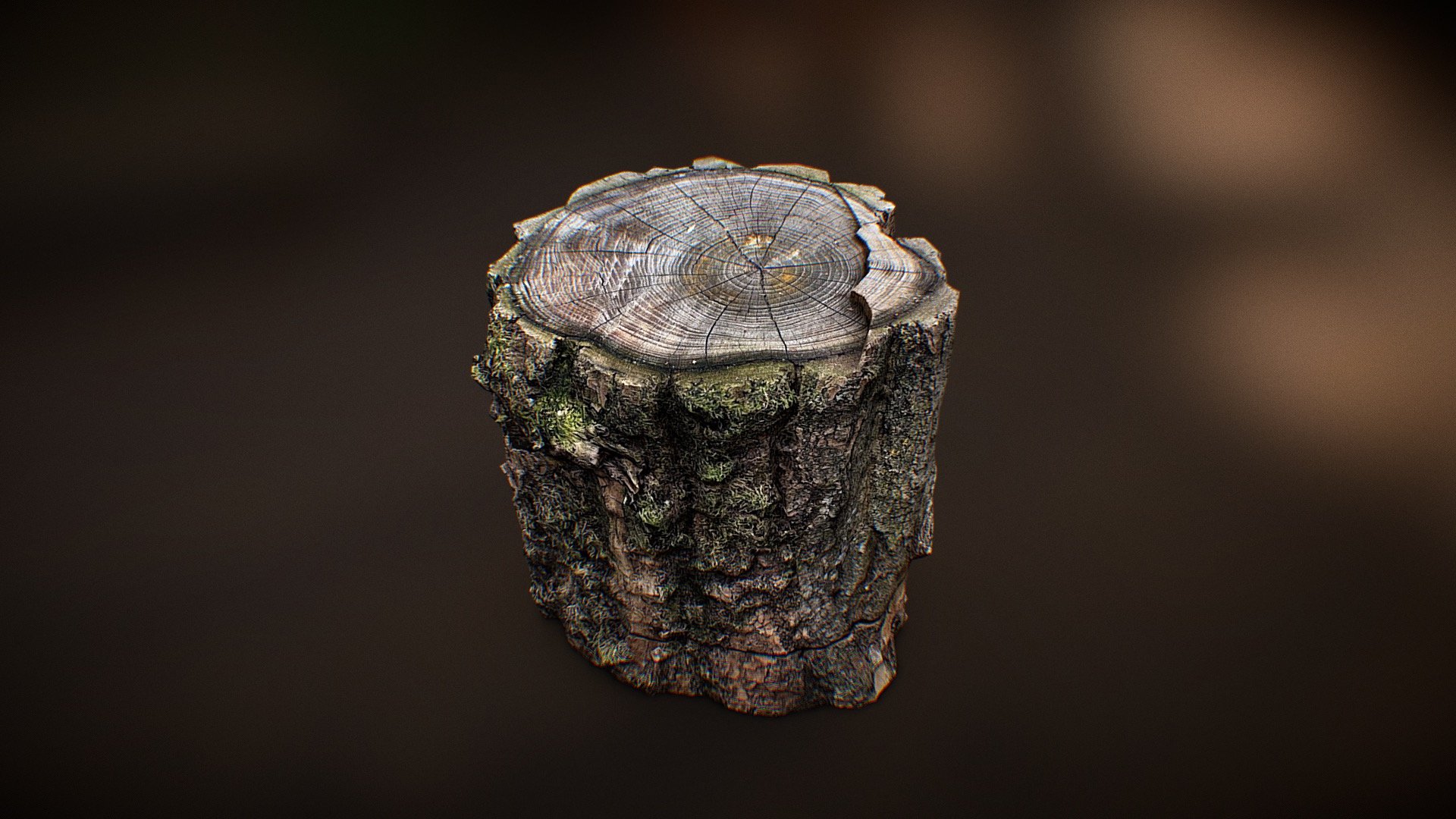Baumstumpf2 - Download Free 3D model by Rene-L211979 (@renelambert) [00945de] - Sketchfab