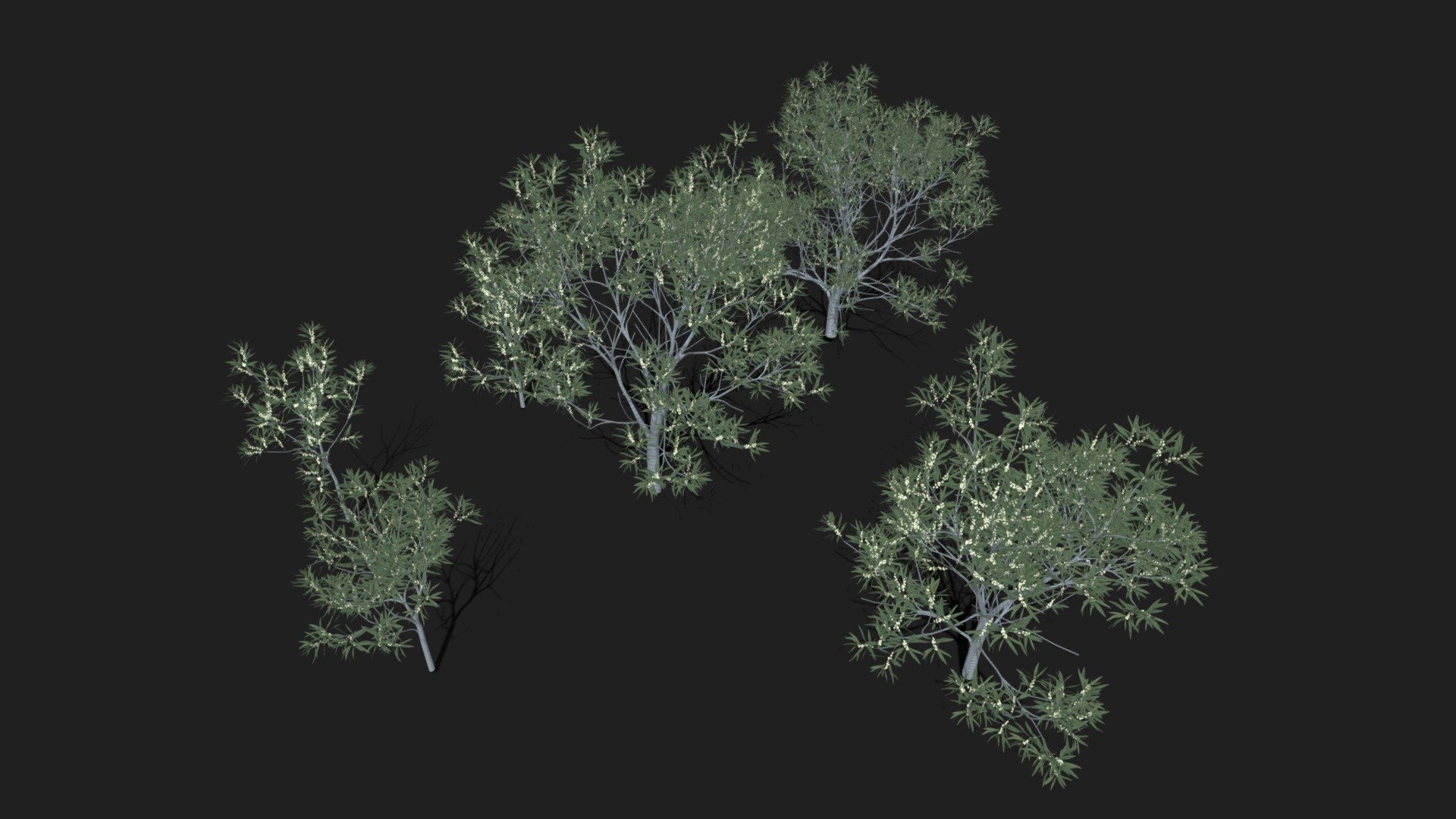 Trees pack - Download Free 3D model by local.yany [00977ae] - Sketchfab