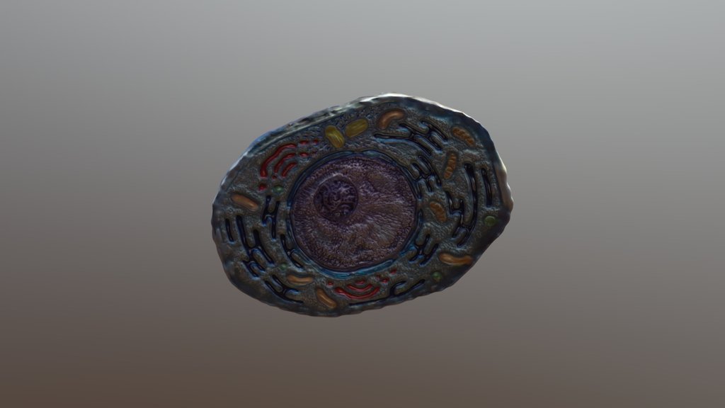 Biology - A 3D model collection by Melipone - Sketchfab