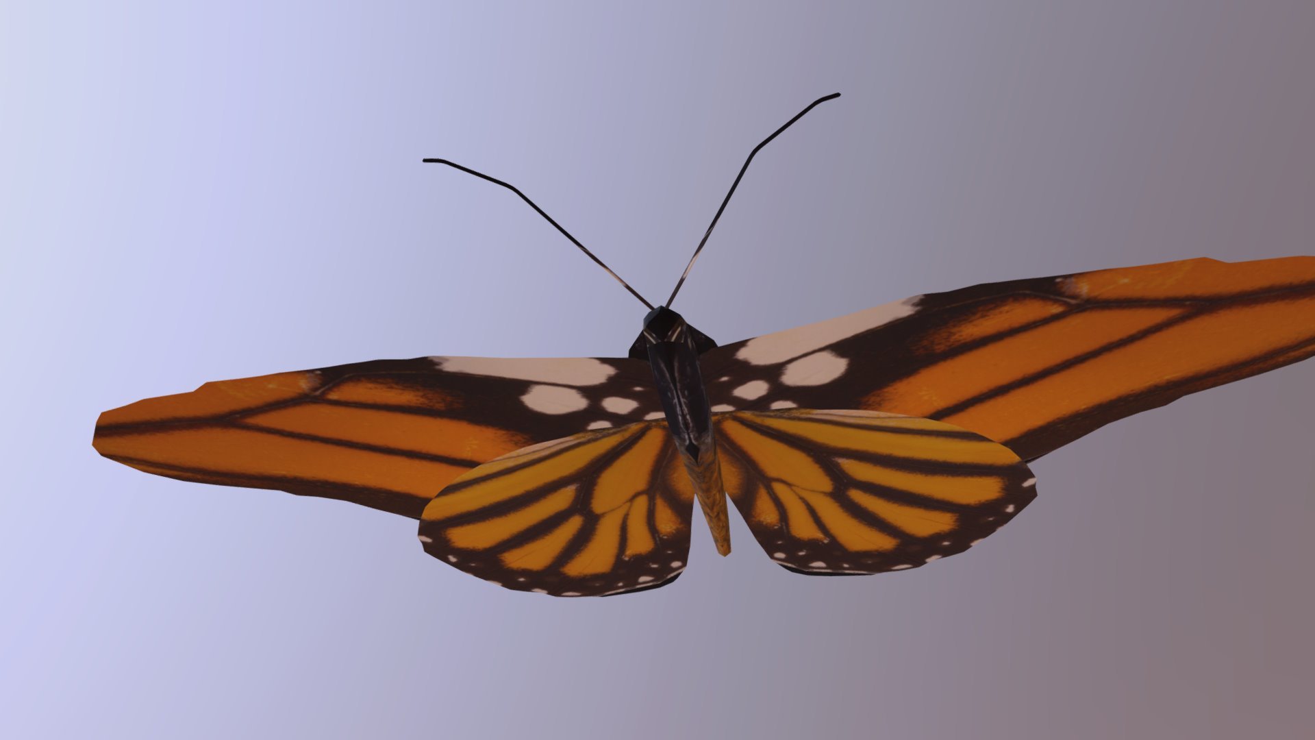Monarch Butterfly - 3D model by Intelligent Education ...