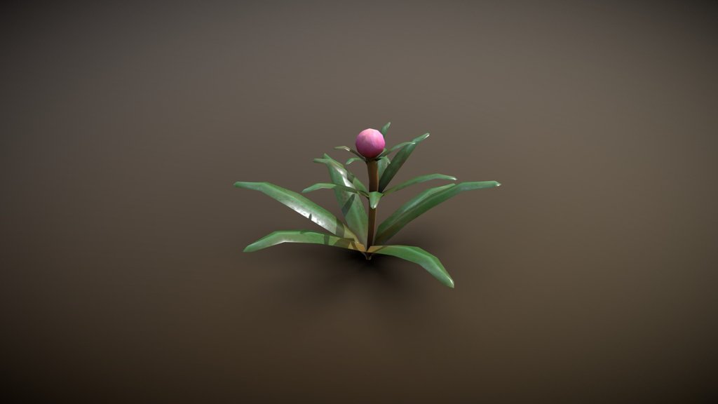 low poly plants - A 3D model collection by s3711262 - Sketchfab