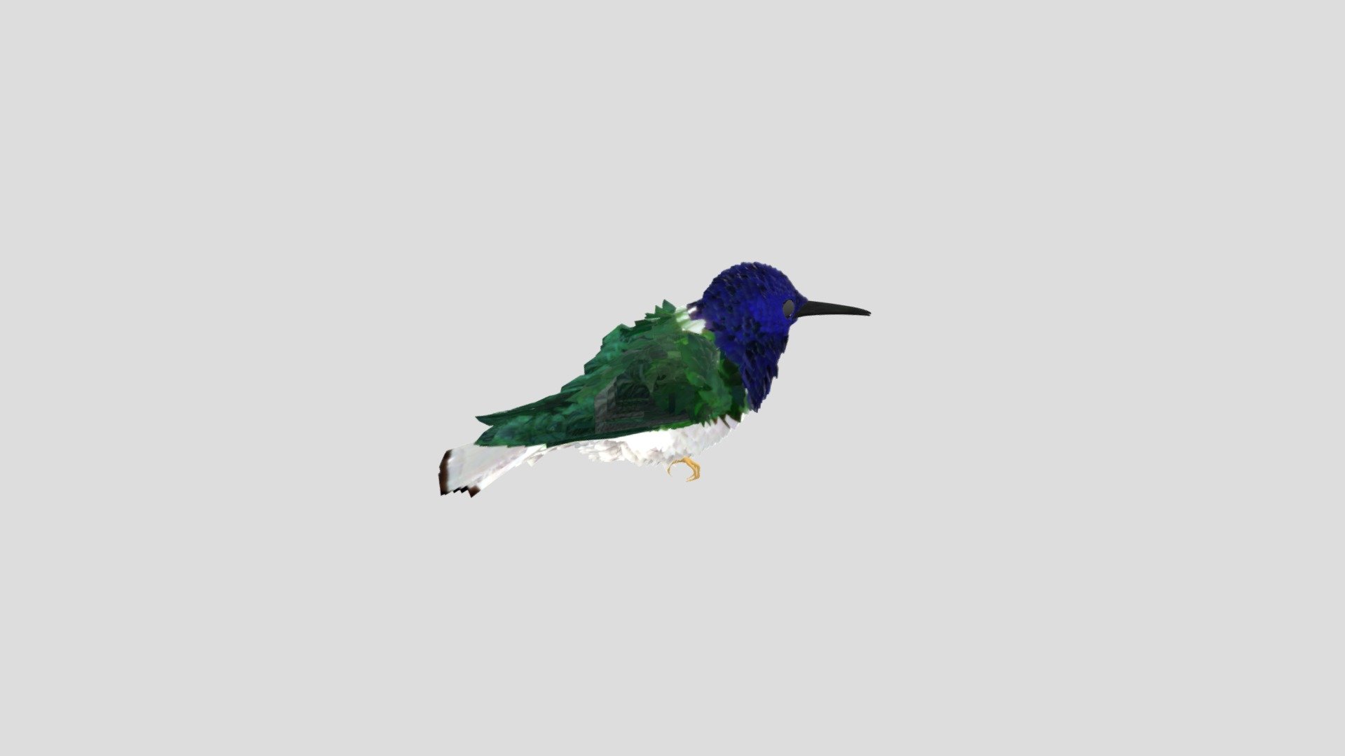 Bird Sitting Idle - Download Free 3D model by domayor [00ad829] - Sketchfab
