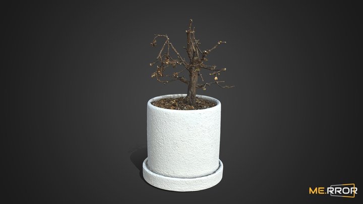 Dead-tree 3D models - Sketchfab