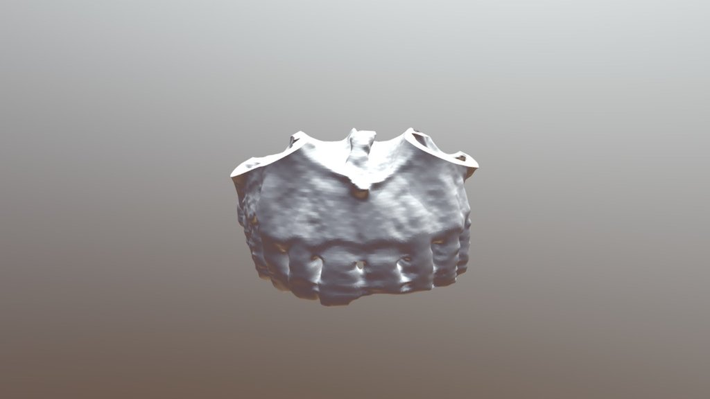 Maxillary - 3D model by EYBioD [00b5751] - Sketchfab