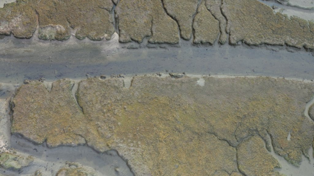 Lymington Marshes Simplified 3d Mesh - Download Free 3D model by ...