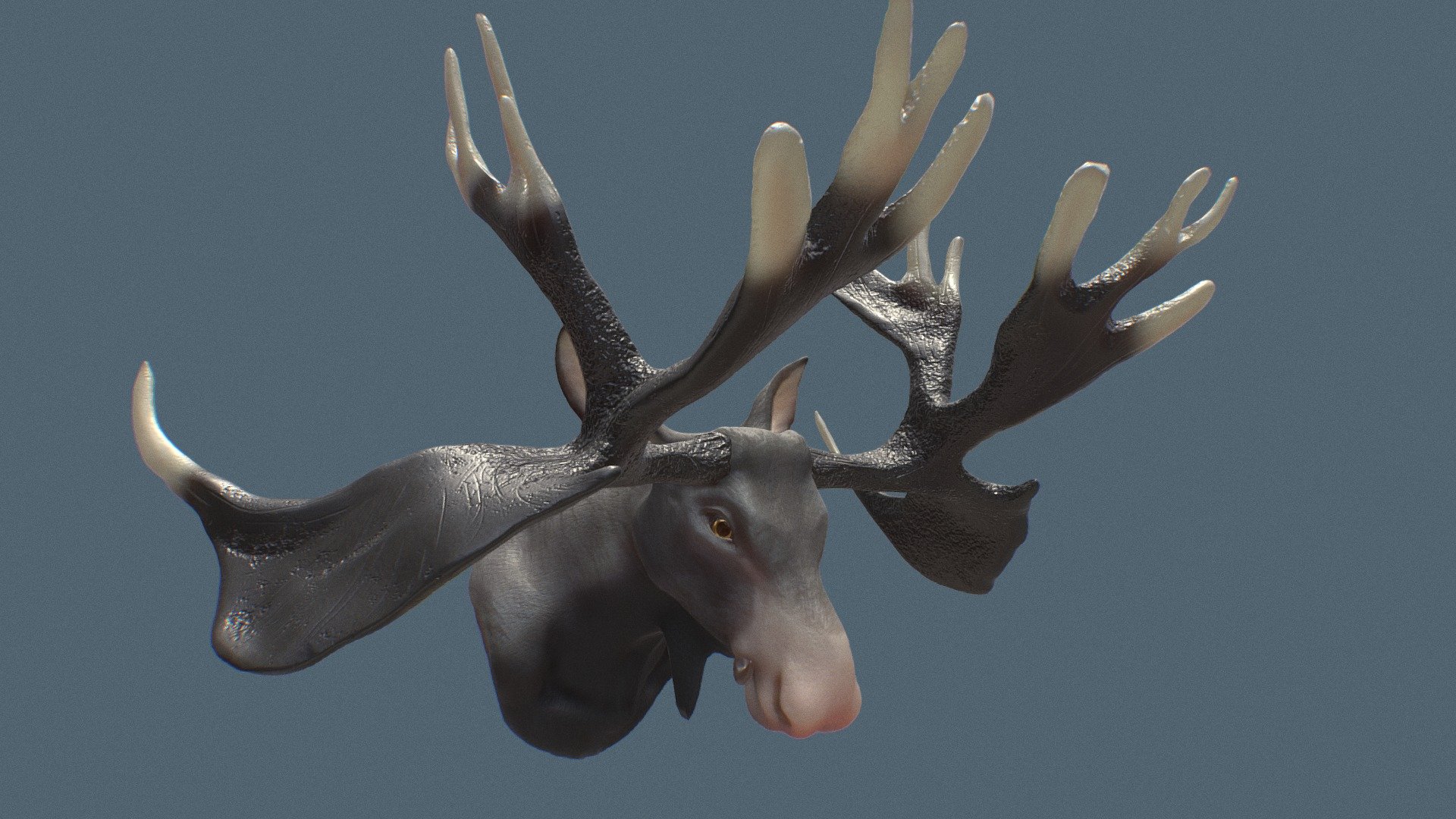 Moose Creature Bust - 3D model by Jazz Vincent (@JazzVincent) [00b86f3 ...