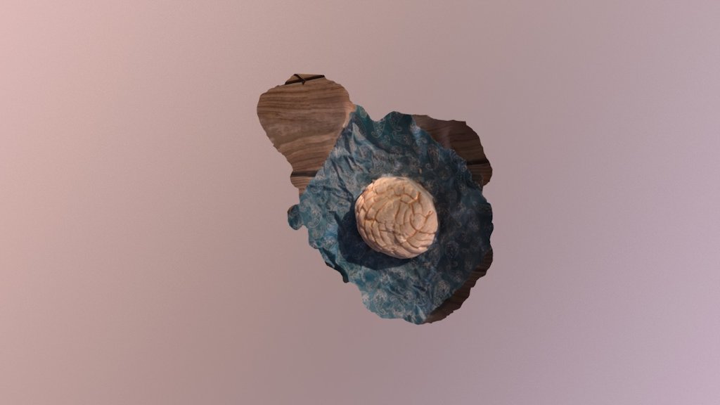 Concha - Download Free 3D model by bboettcher12 [00bb316] - Sketchfab