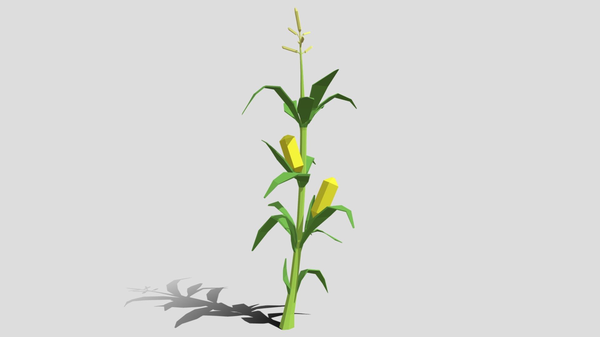 Tomato Crop Mesh - 3D model by Sarah Salvato (@sarahsalvato) [00c4109 ...