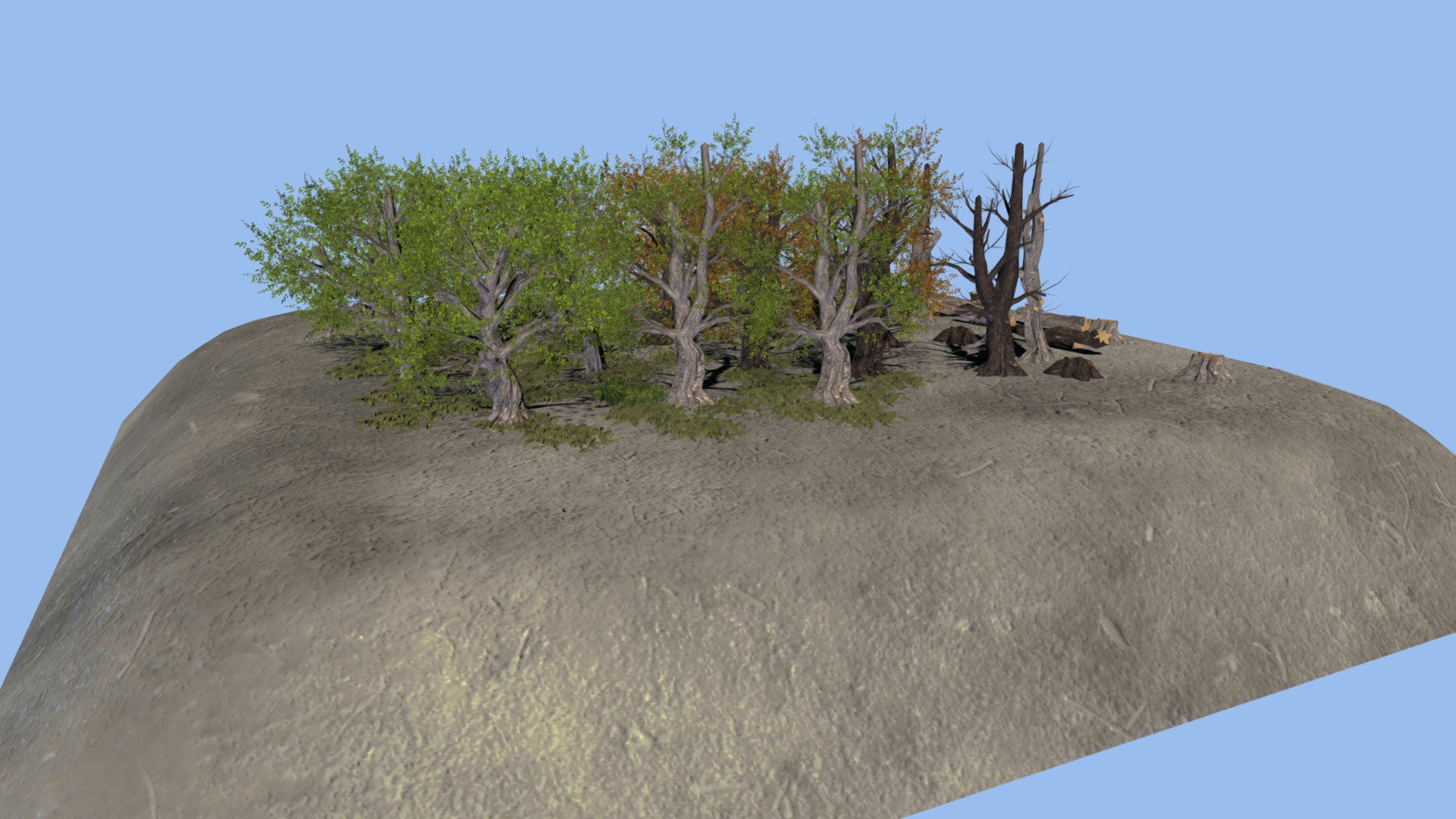 Simple Woods Presentation - 3D model by loafbrr [00c8e74] - Sketchfab