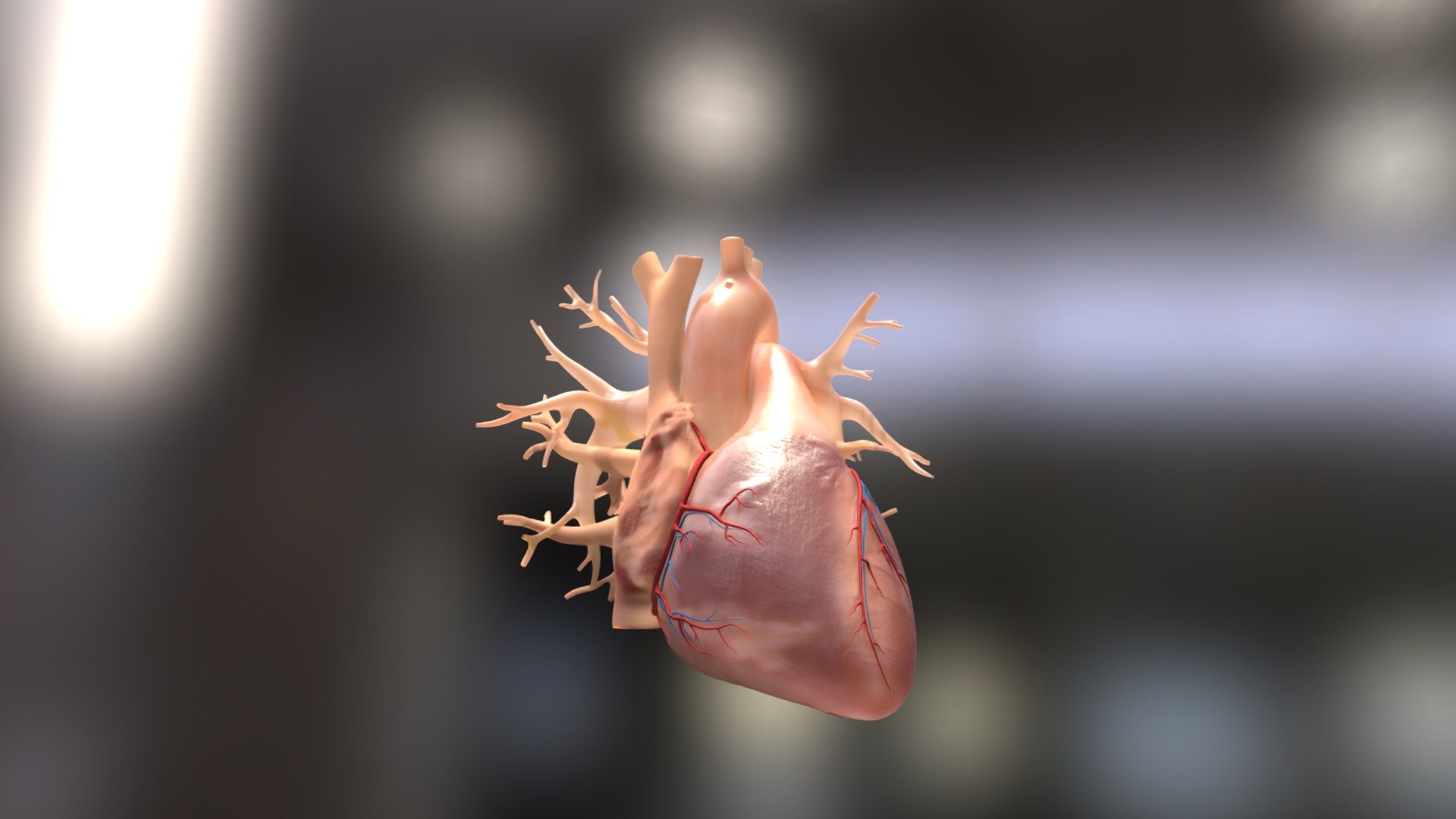 The Real Heart from Docs4D - 3D model by Docs4D GmbH (@drparaforos ...
