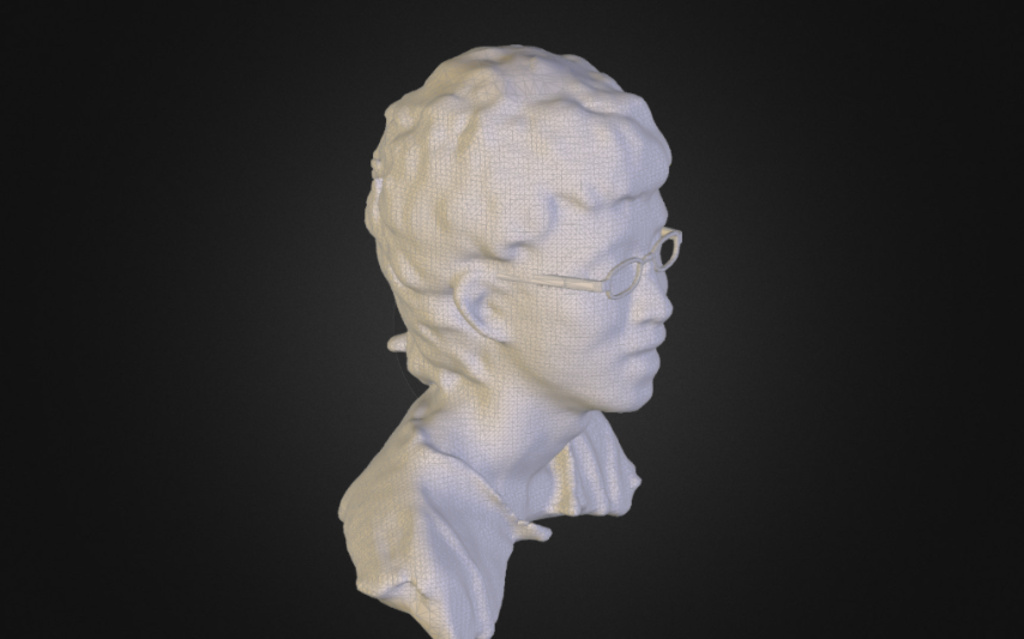 my_face_scan - 3D model by galherpras [00d0698] - Sketchfab