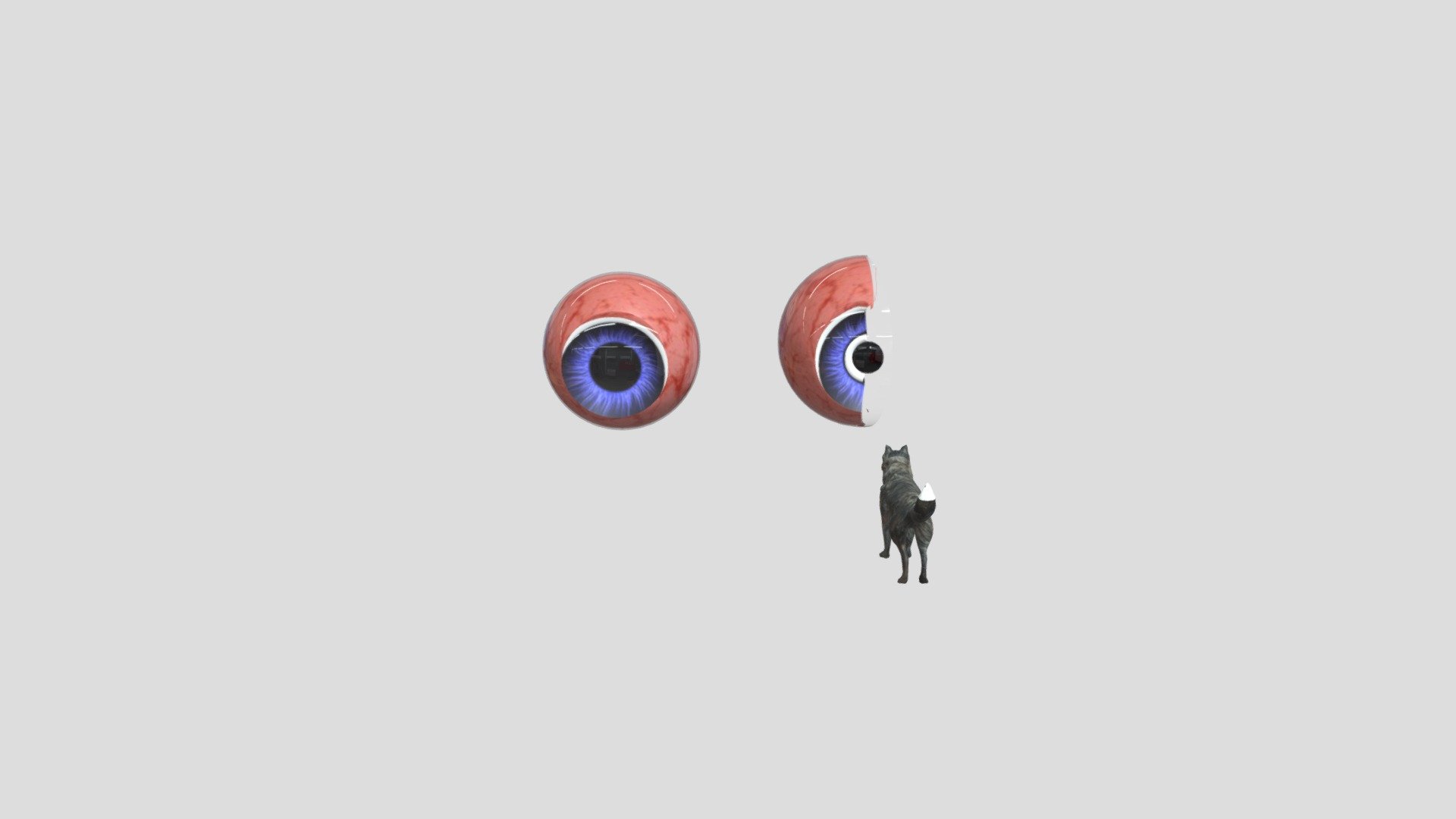 Mata Minus / Miopi (Rabun Jauh) - 3D model by Laboratorium Psikologi ...