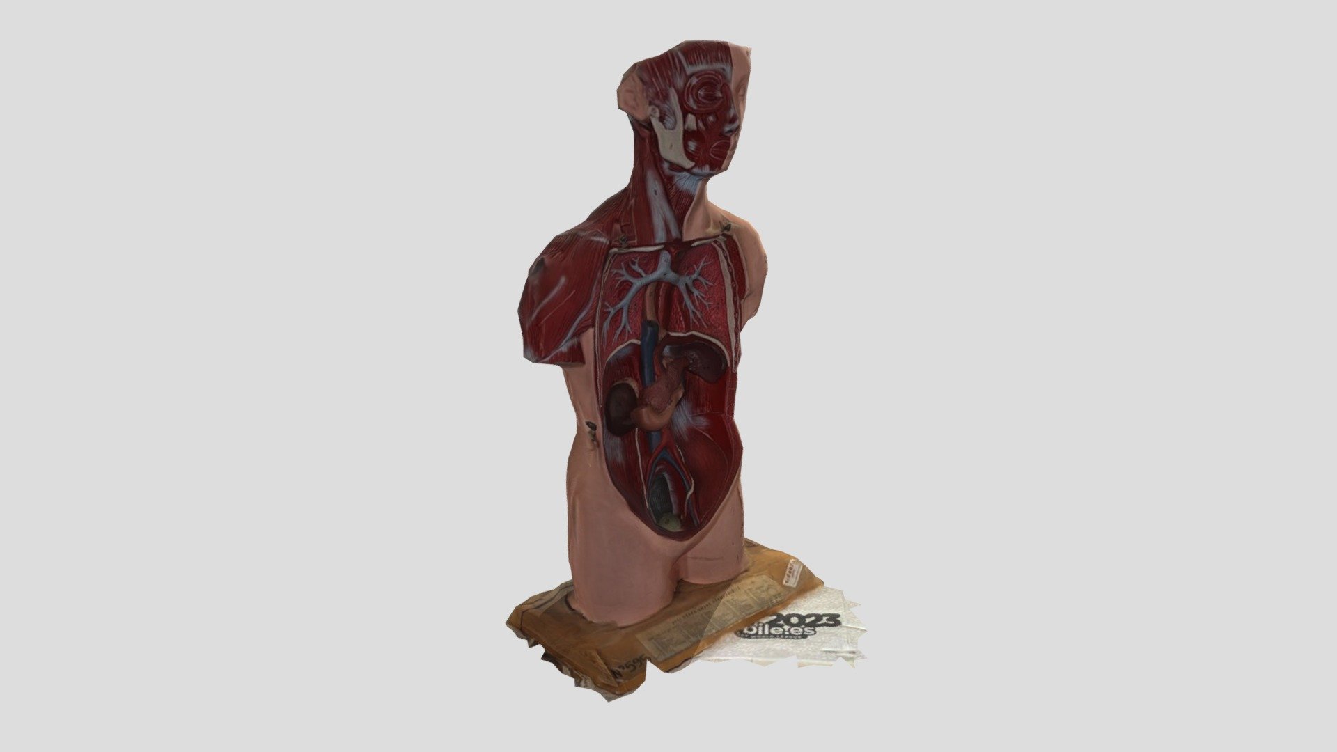 3DMODELOBJ - Download Free 3D model by D3MOBILE2023ITORRONI [00d3d89 ...