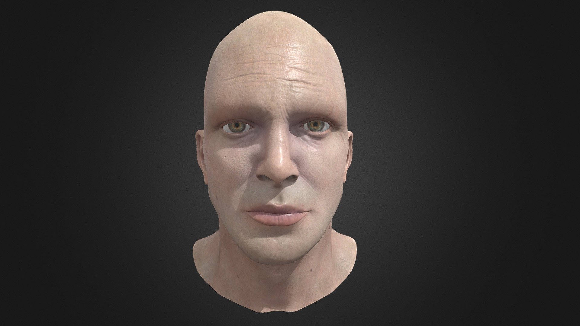Realistic human bust 👨🏻‍🦲 - Buy Royalty Free 3D model by YukiTori ...