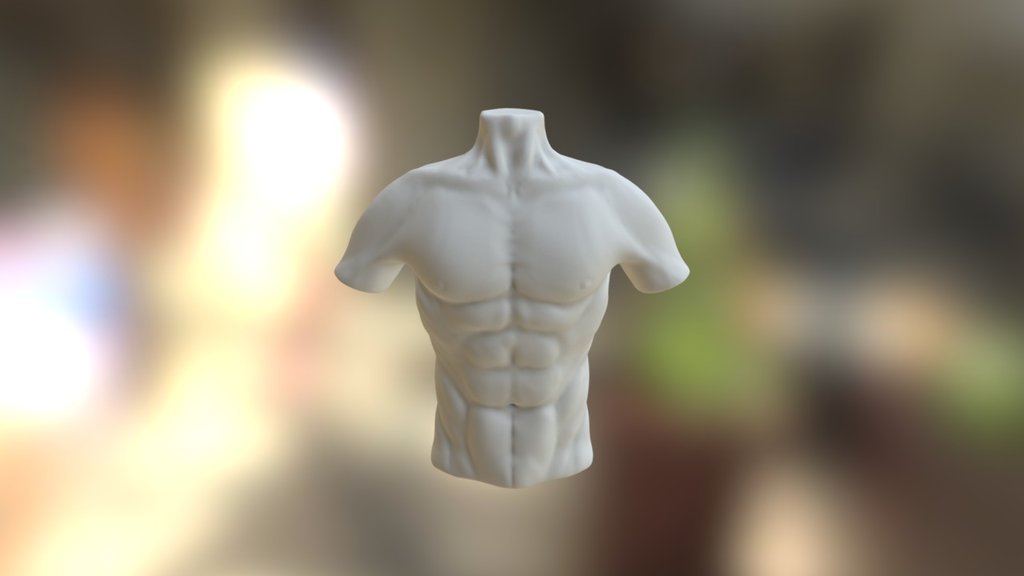 Torso practice - 3D model by charlsfrd [00e0b31] - Sketchfab