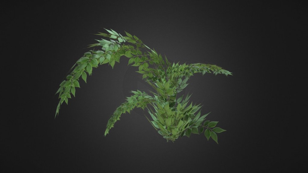 Low Poly Fern - 3D model by Gaby Soto (@gabysoto) [00e7e93] - Sketchfab