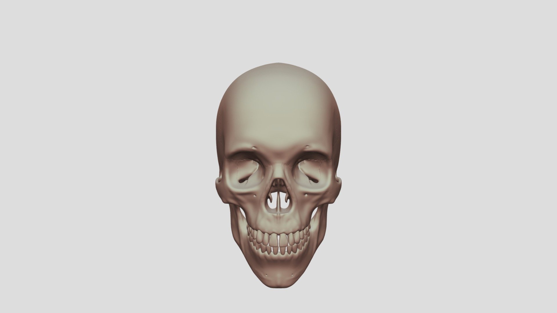 Opening the Skull Cap - 3D model by rpettit [00e9f0c] - Sketchfab