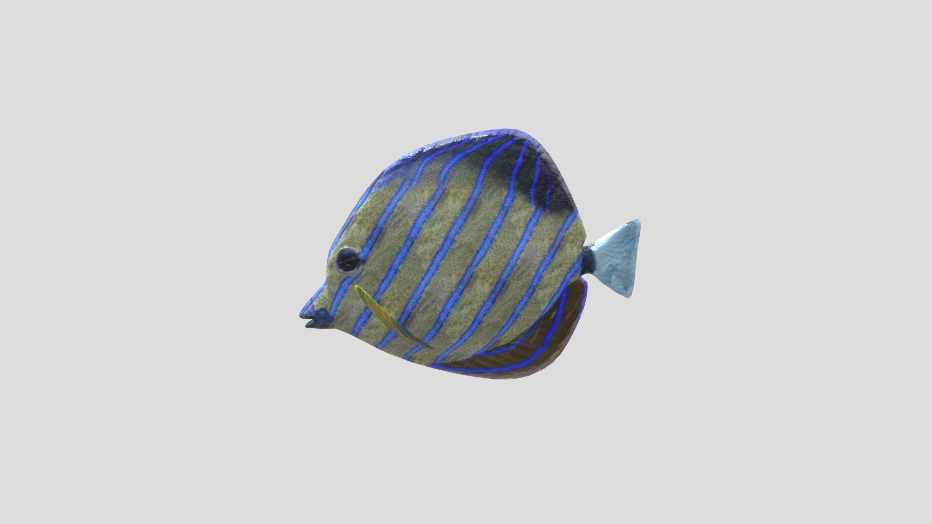 Fishy - 3D model by mio.sparrow [00ff8e0] - Sketchfab